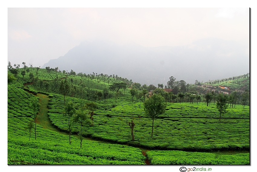 Valley View, Ooty - JungleKey.in Image